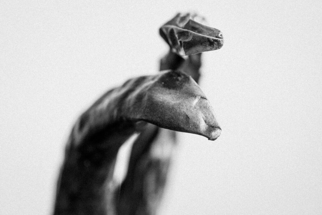 Abstract Food Still Life - Tahnia Roberts Artworks