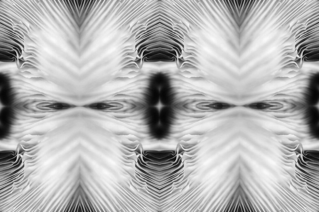 Repeating Pattern Artwork - Tahnia Roberts Artworks